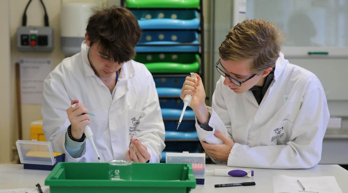 What do people who work in STEM actually do? - Science Oxford