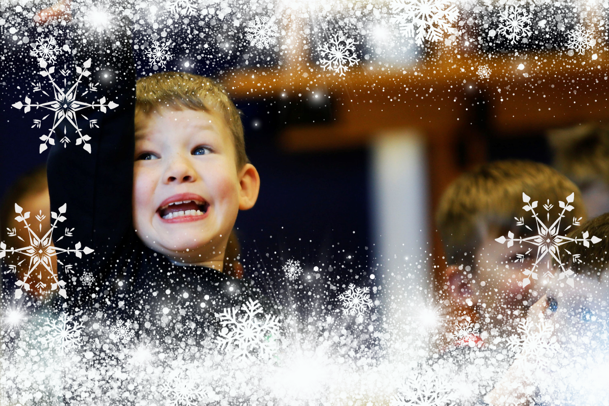 Winter Livestream Shows - Science Oxford