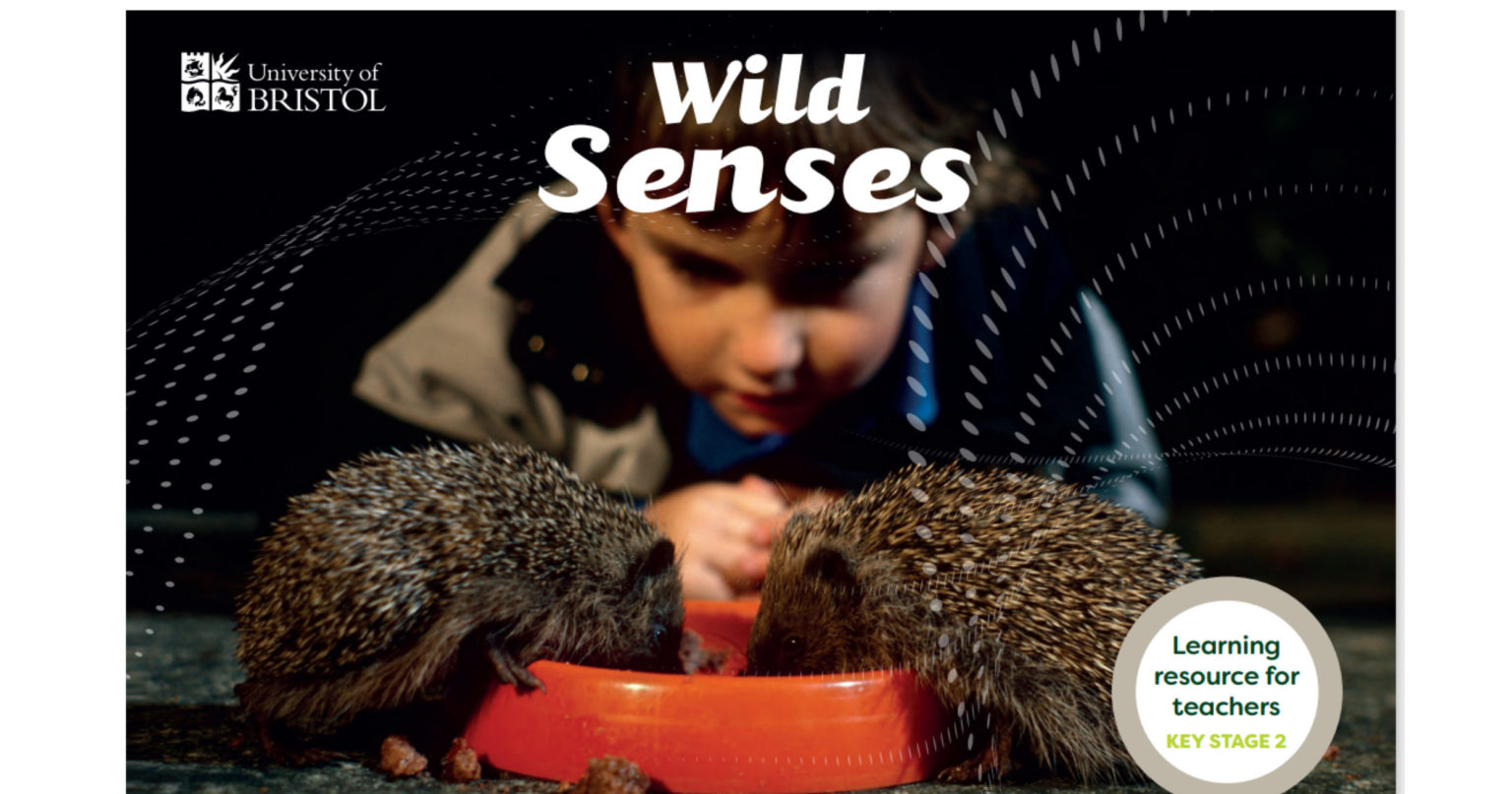 Wild Senses - Science Oxford