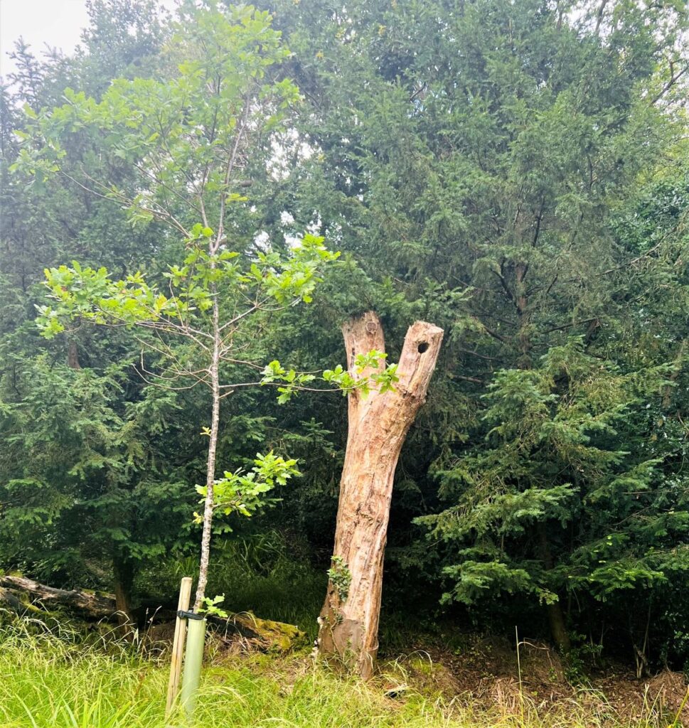 Time waits for no one, not even nature - Science Oxford