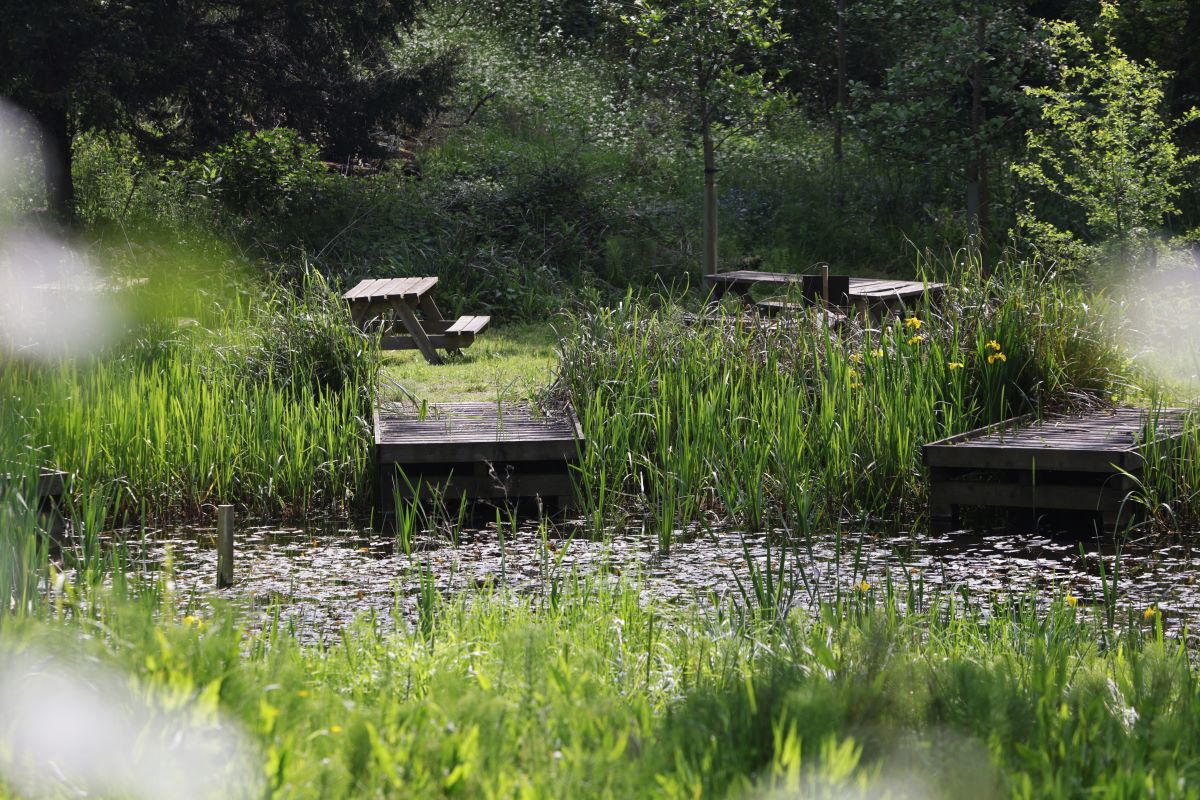 Outdoor science at home - Science Oxford