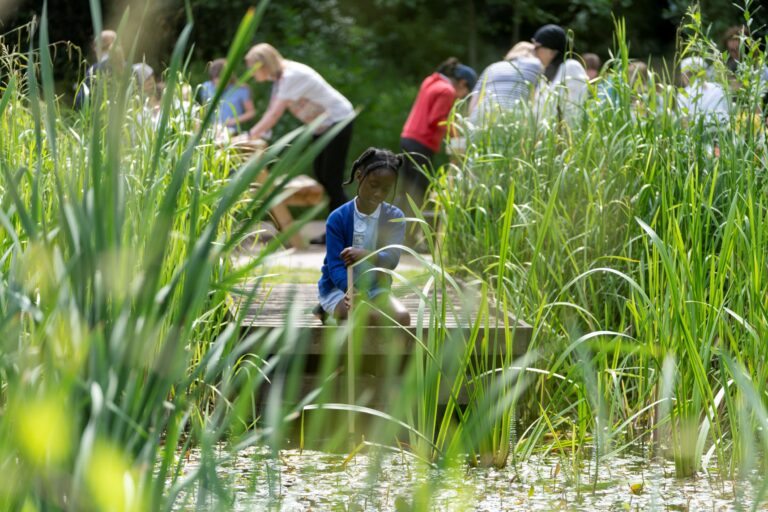 Young scientists shine at the Big Science Event - Science Oxford